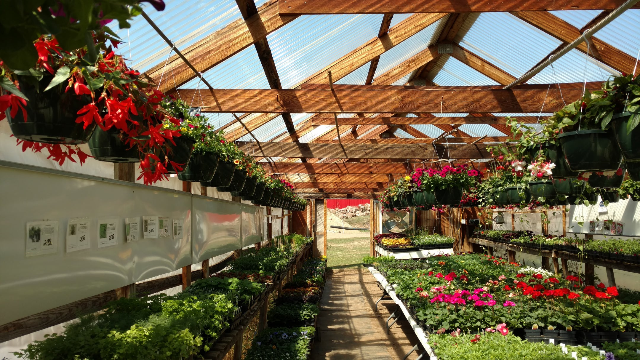 HAUSER'S Superior View Farm – Hauser's Superior View Farm